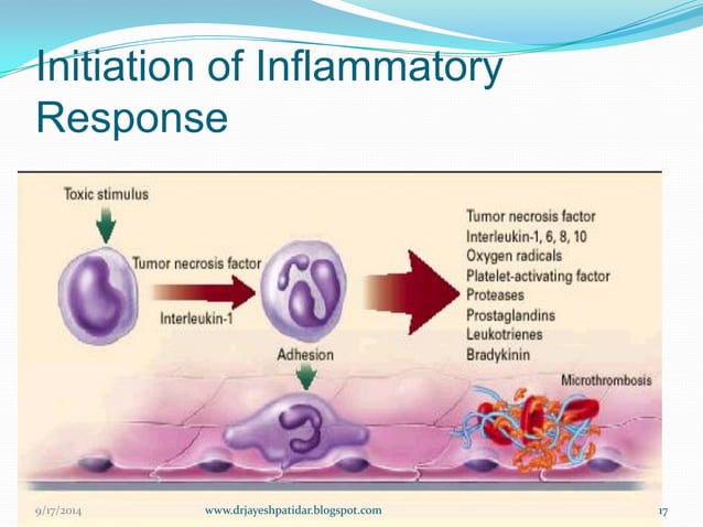 Multi organ dysfunction syndrome | PDF | Blood Disorders | Diseases and ...
