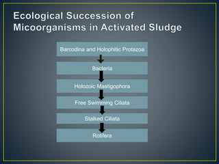 Wqm 207 specific bacteria | PPTX | Biological Sciences | Science