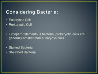 Wqm 207 specific bacteria | PPTX | Biological Sciences | Science