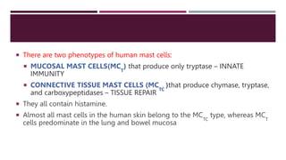 Mast_cells.pptx