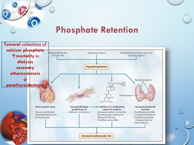 Hyperphosphatemia in CKD | PPTX