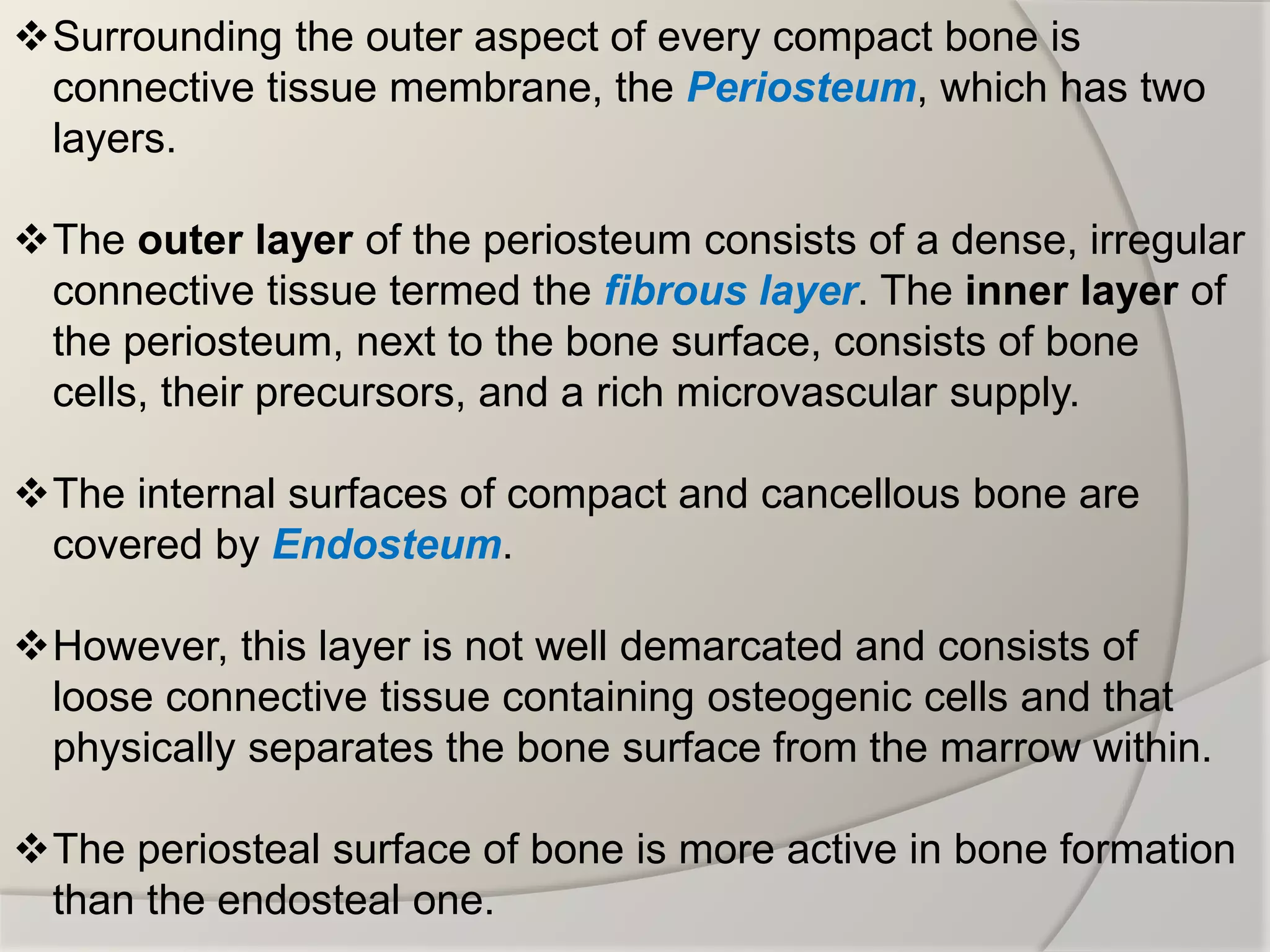 Bone : Basics | PPTX
