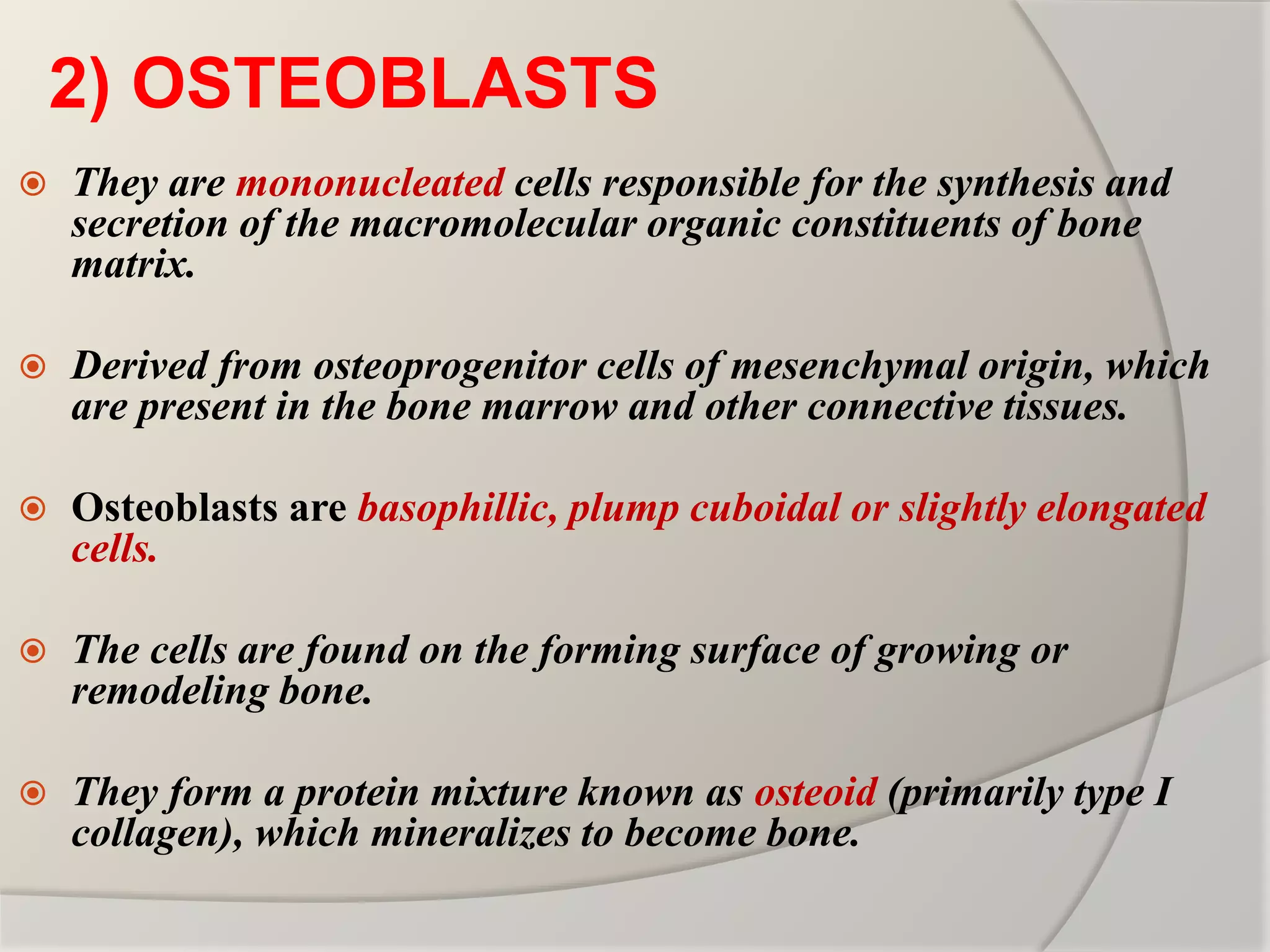Bone : Basics | PPTX