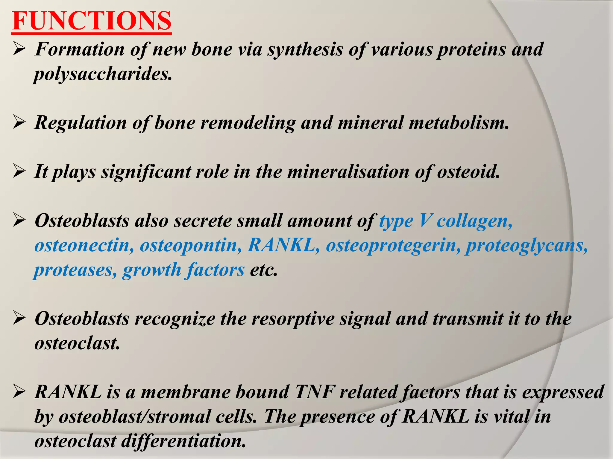 Bone : Basics | PPTX