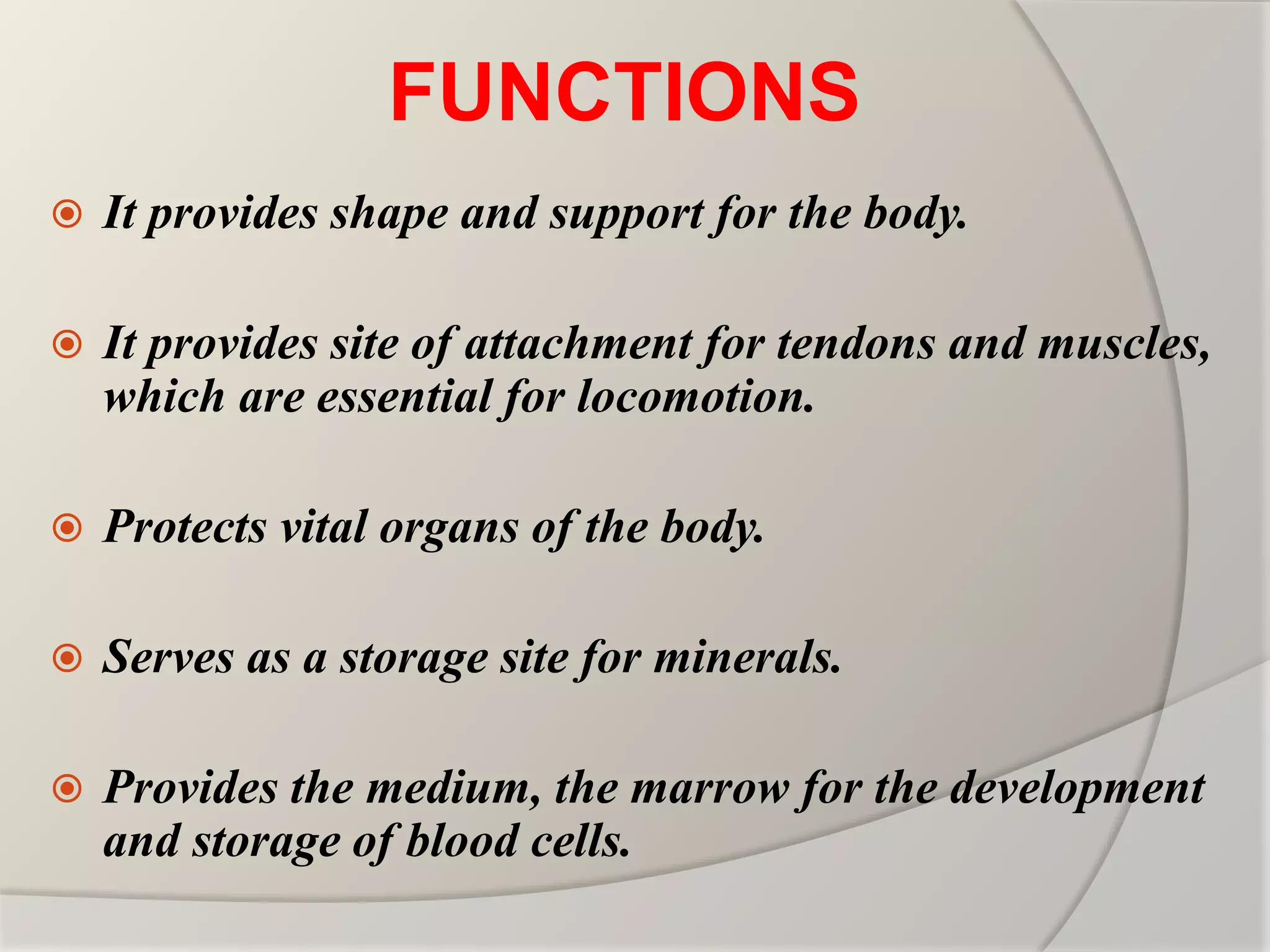 Bone : Basics | PPTX