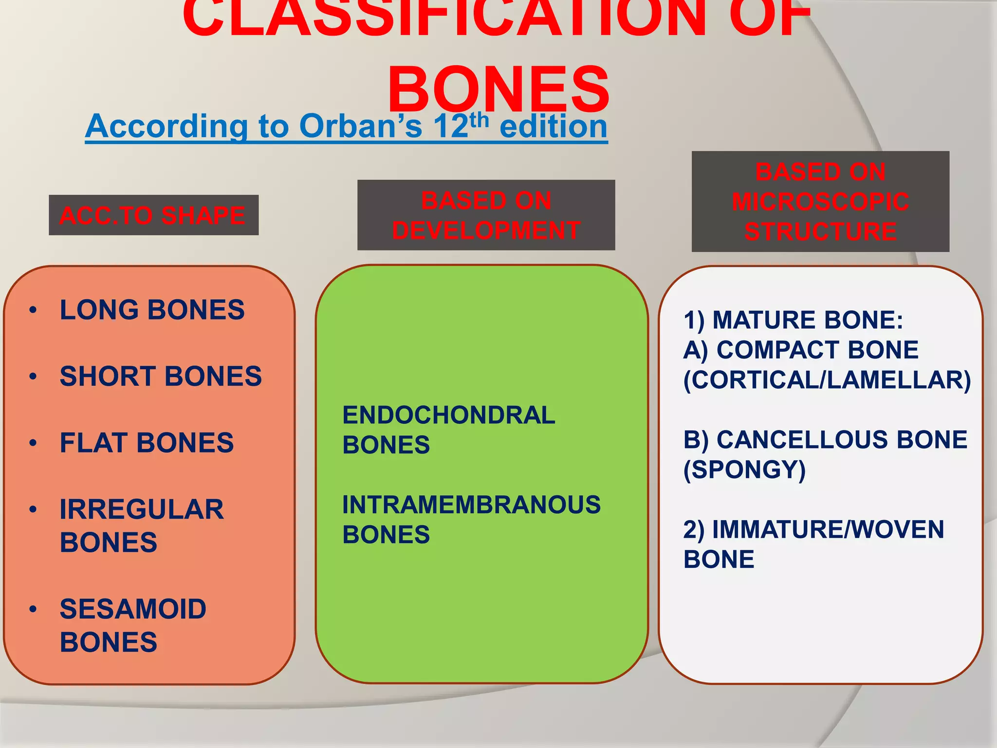 Bone : Basics | PPTX