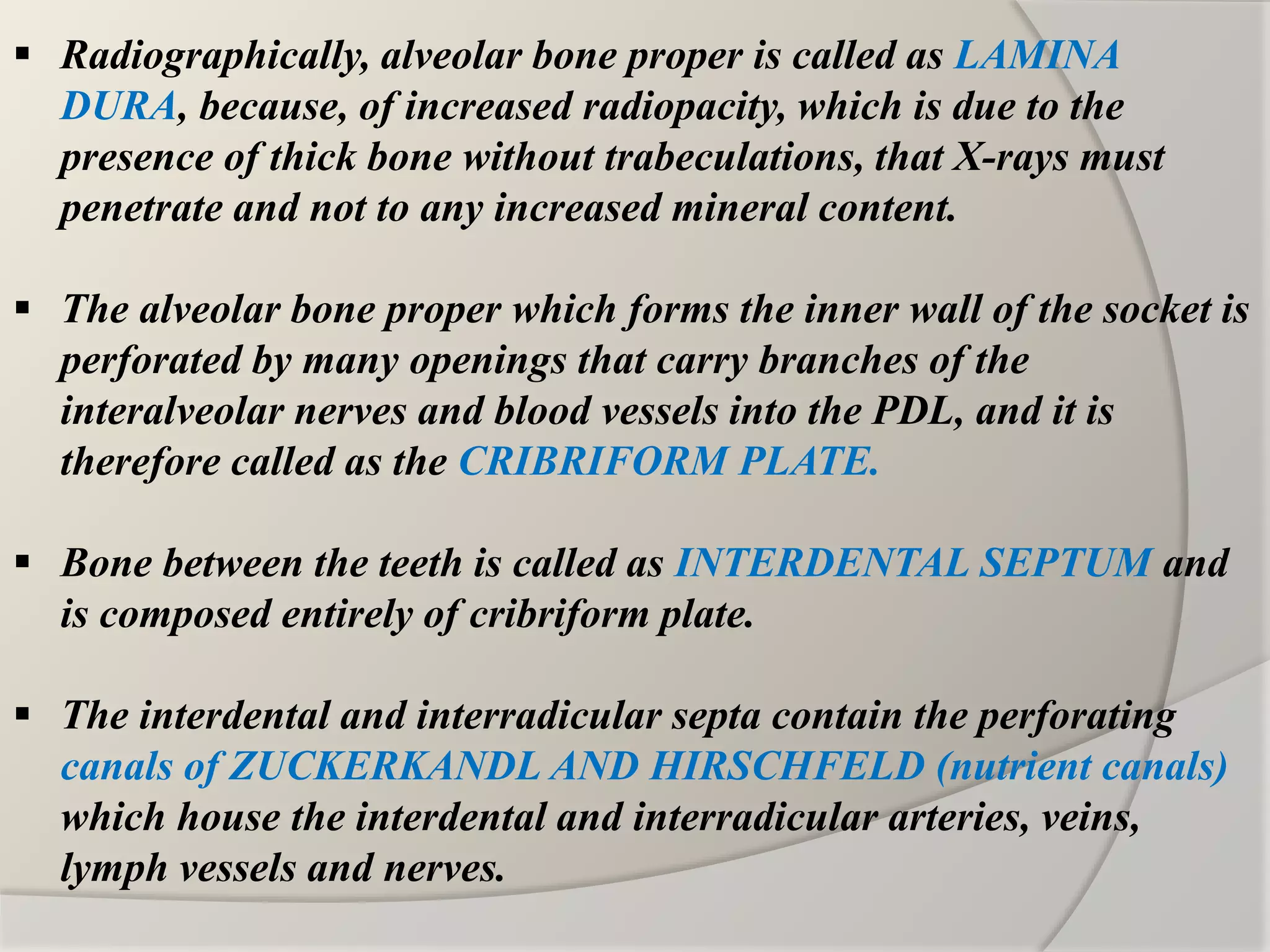 Bone : Basics | PPTX