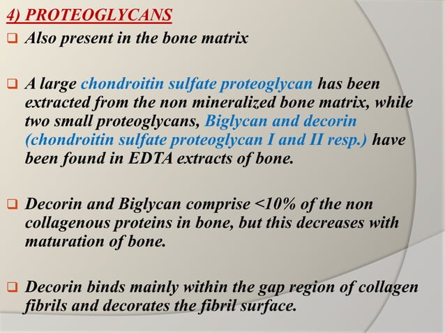 Bone : Basics | PPTX