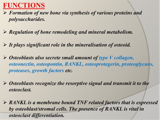 Bone : Basics | PPTX