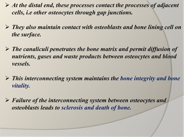 Bone : Basics | PPTX
