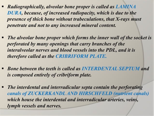 Bone : Basics | PPTX