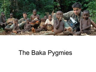 Traditonal African Religions | PPT