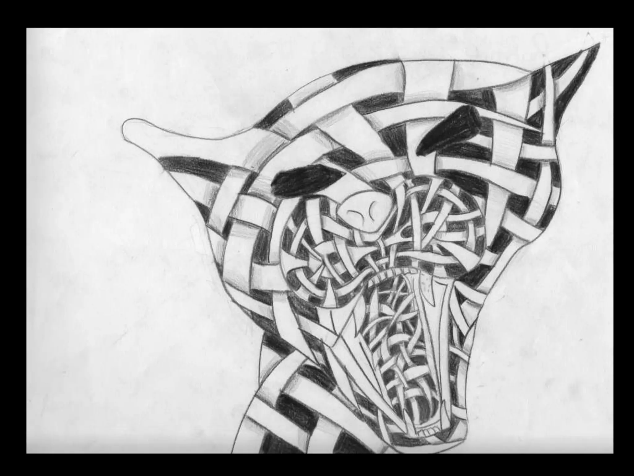 Wrapped animals | PPT