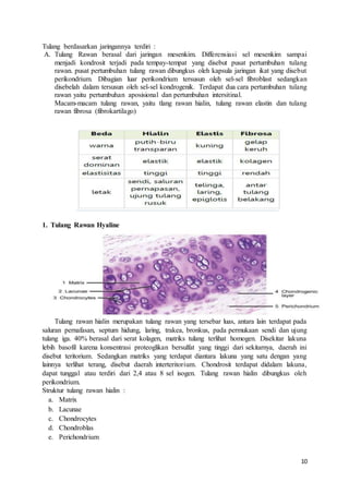 WRAP UP SKENARIO HIPERURECEMIA BLOK MUSKULOSKELETAL (B11) | PDF