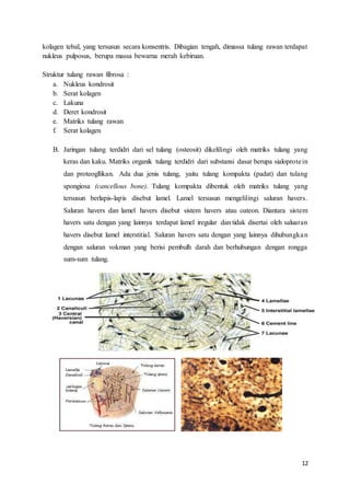 WRAP UP SKENARIO HIPERURECEMIA BLOK MUSKULOSKELETAL (B11) | PDF