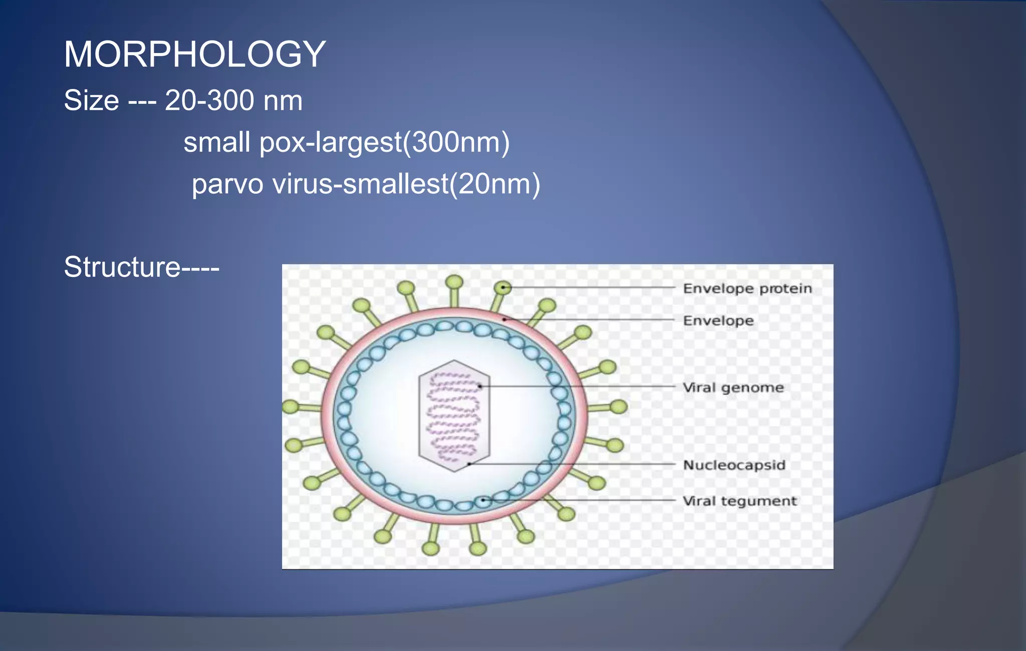 COMMON_VIRAL_INFECTIONS_IN_CHILDREN_AND_ORAL_MANIFESTATIONS.pptx