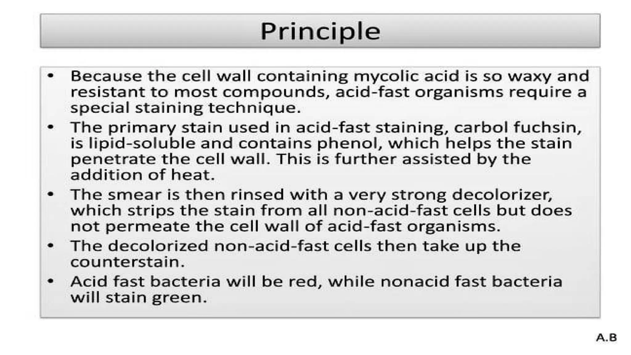 Identification of bacteria using staining techniques | PPTX