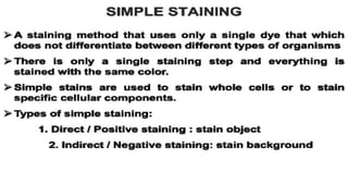 Identification of bacteria using staining techniques | PPTX