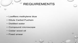 Identification of bacteria using staining techniques | PPTX