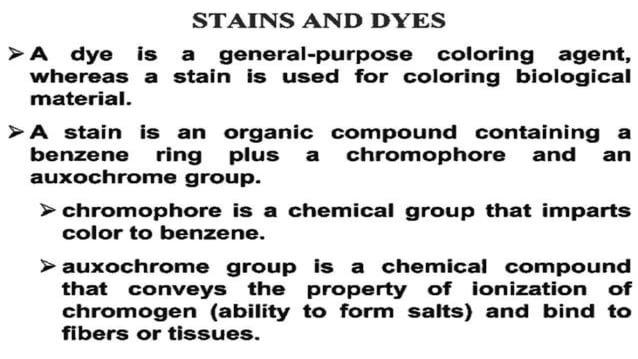 Identification of bacteria using staining techniques | PPTX