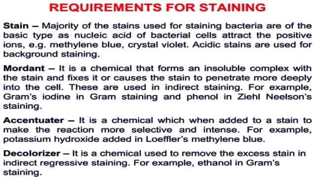Identification of bacteria using staining techniques | PPTX