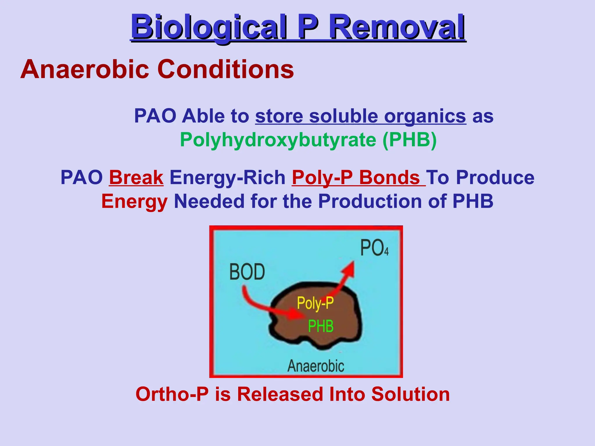 wrd-ot-basics-of-phosphorus-removal_445207_7.ppt