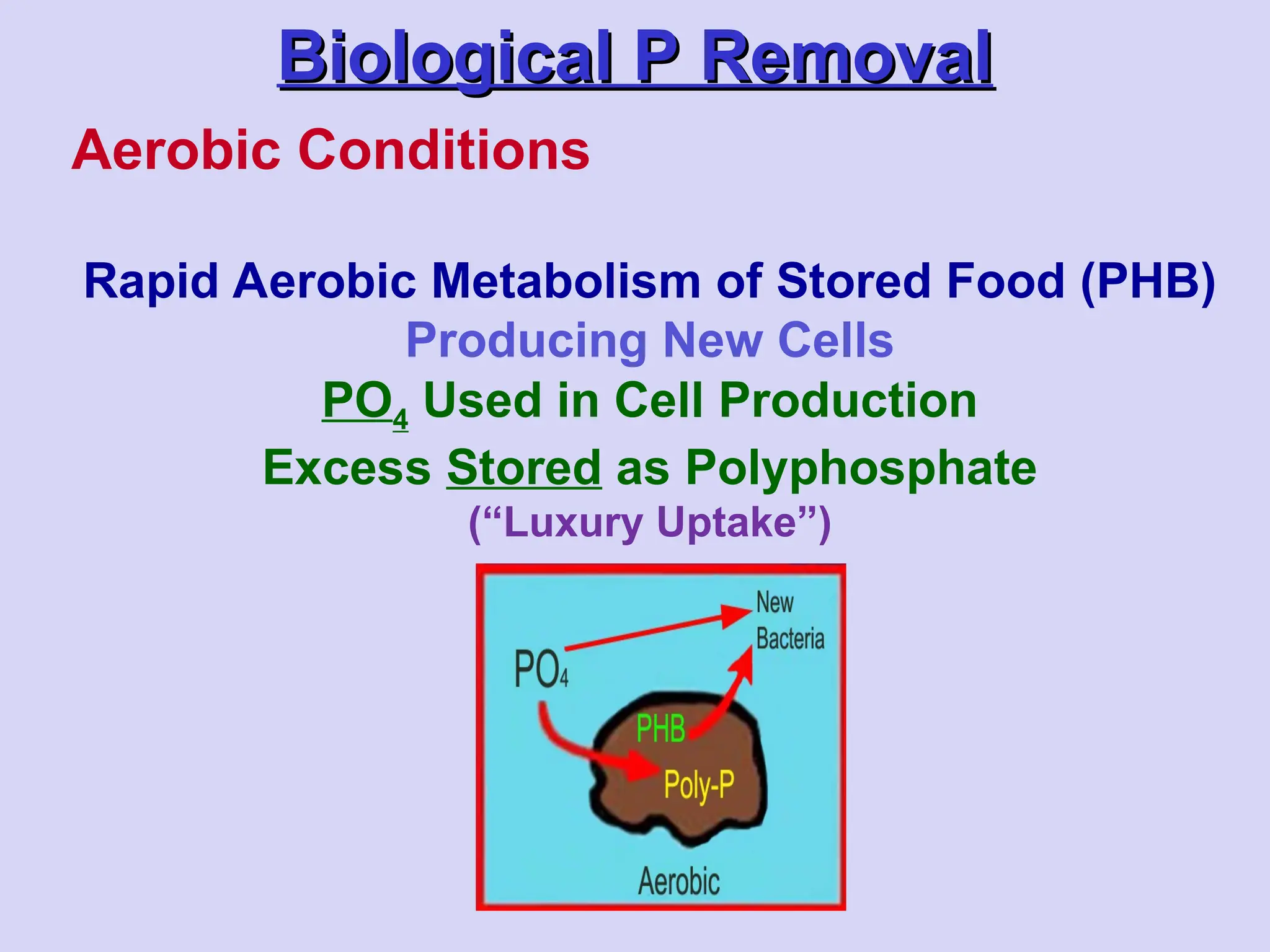 wrd-ot-basics-of-phosphorus-removal_445207_7.ppt