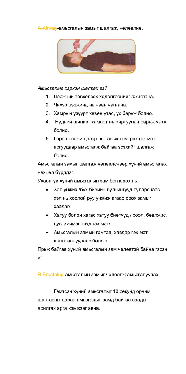 Осол гэмтлийн үед үзүүлэх анхны тусламж Pdf