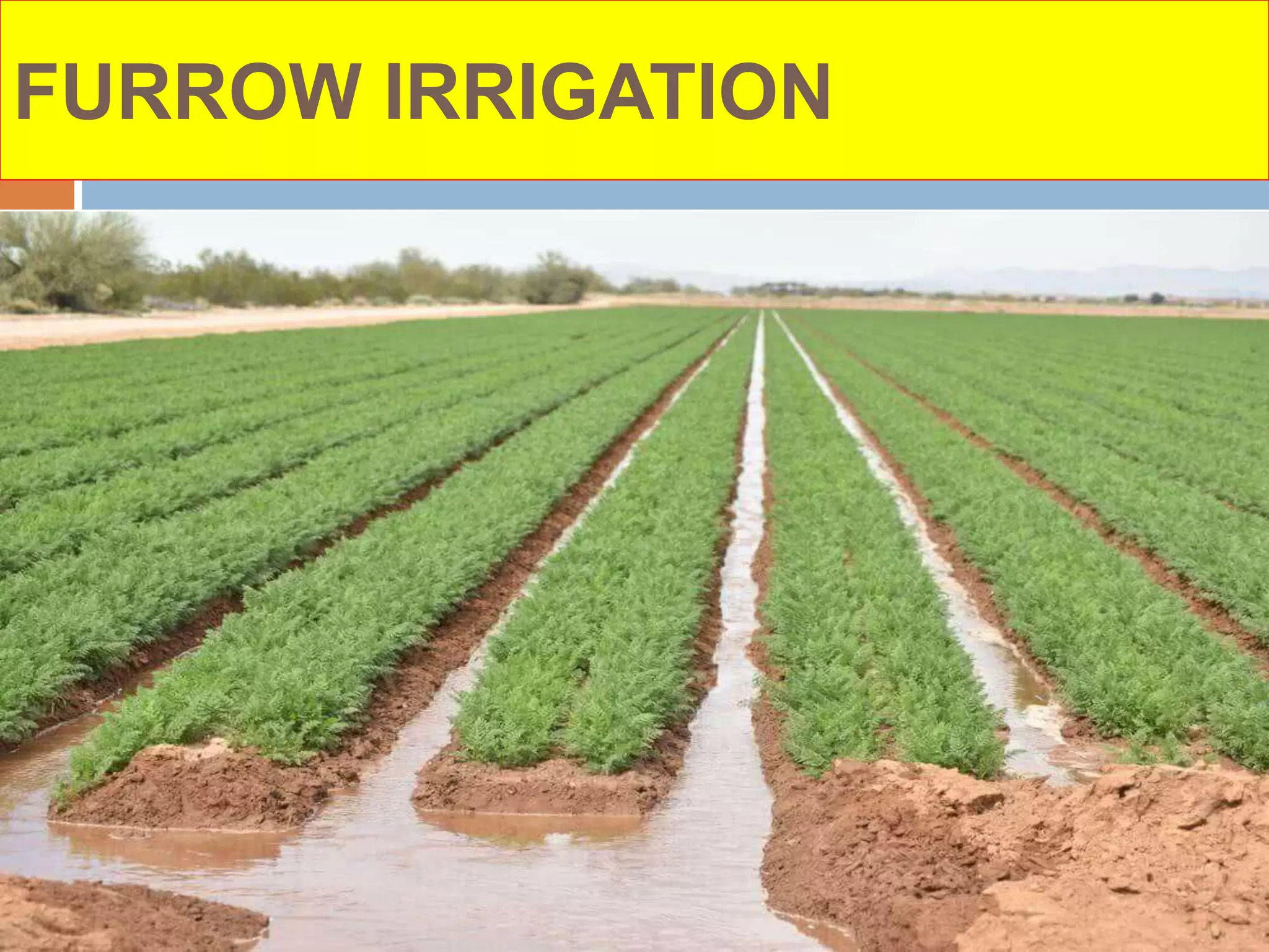 Introduction of Irrigation & it's Methods with Crop classification | PPTX