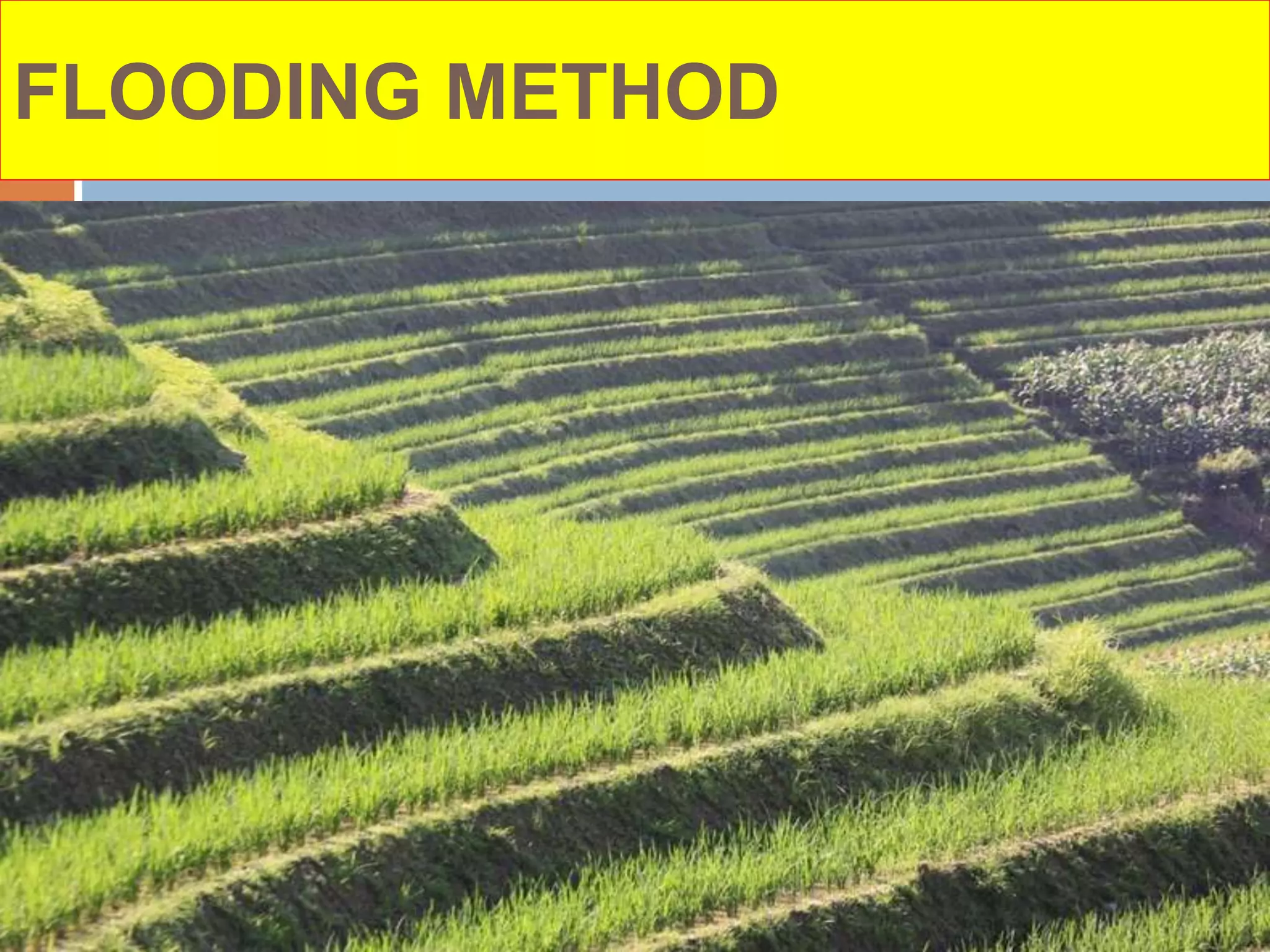 Introduction of Irrigation & it's Methods with Crop classification | PPTX
