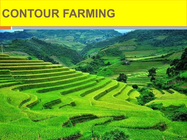 Introduction of Irrigation & it's Methods with Crop classification | PPT