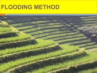 Introduction of Irrigation & it's Methods with Crop classification | PPTX