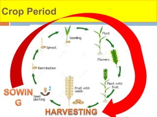 Duty, Delta and Base Period and their relationship | PPTX