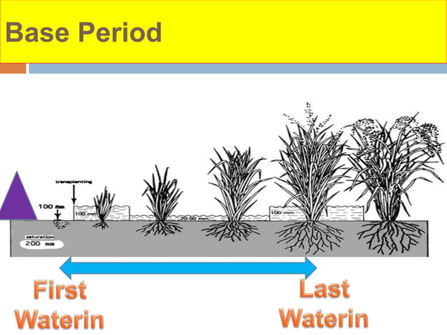 Duty, Delta and Base Period and their relationship | PPTX | Agriculture ...