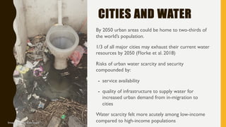 Infrastructure and Water: A Focus on Cities and Settlements | PDF
