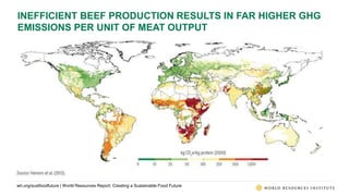 World Resources Report: Creating a Sustainable Food Future | PPTX