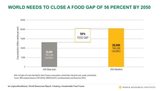 World Resources Report: Creating a Sustainable Food Future | PPTX