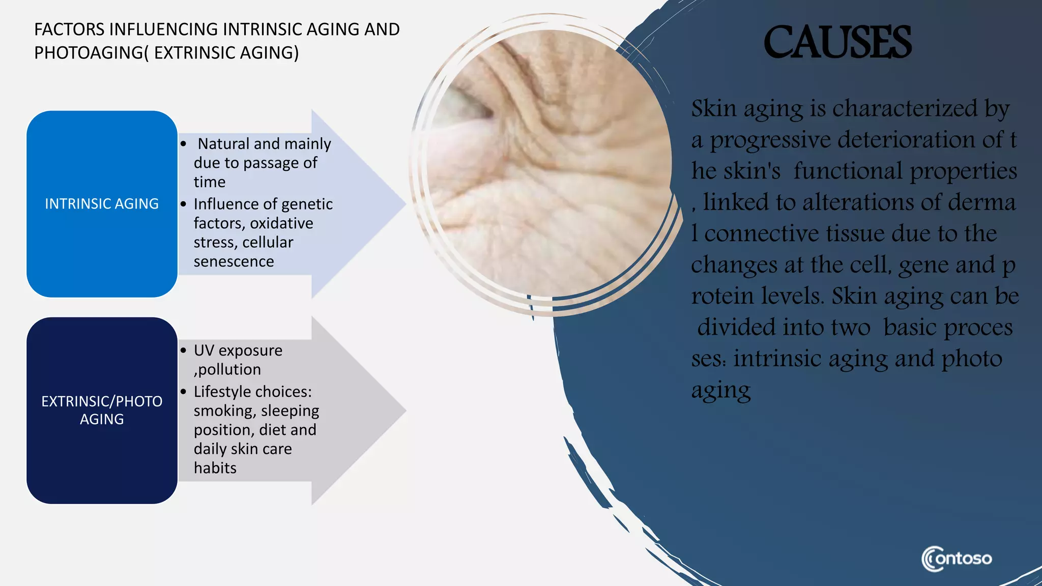 Addressing wrinkles, body odor & dandruff through cosmeceutical ...