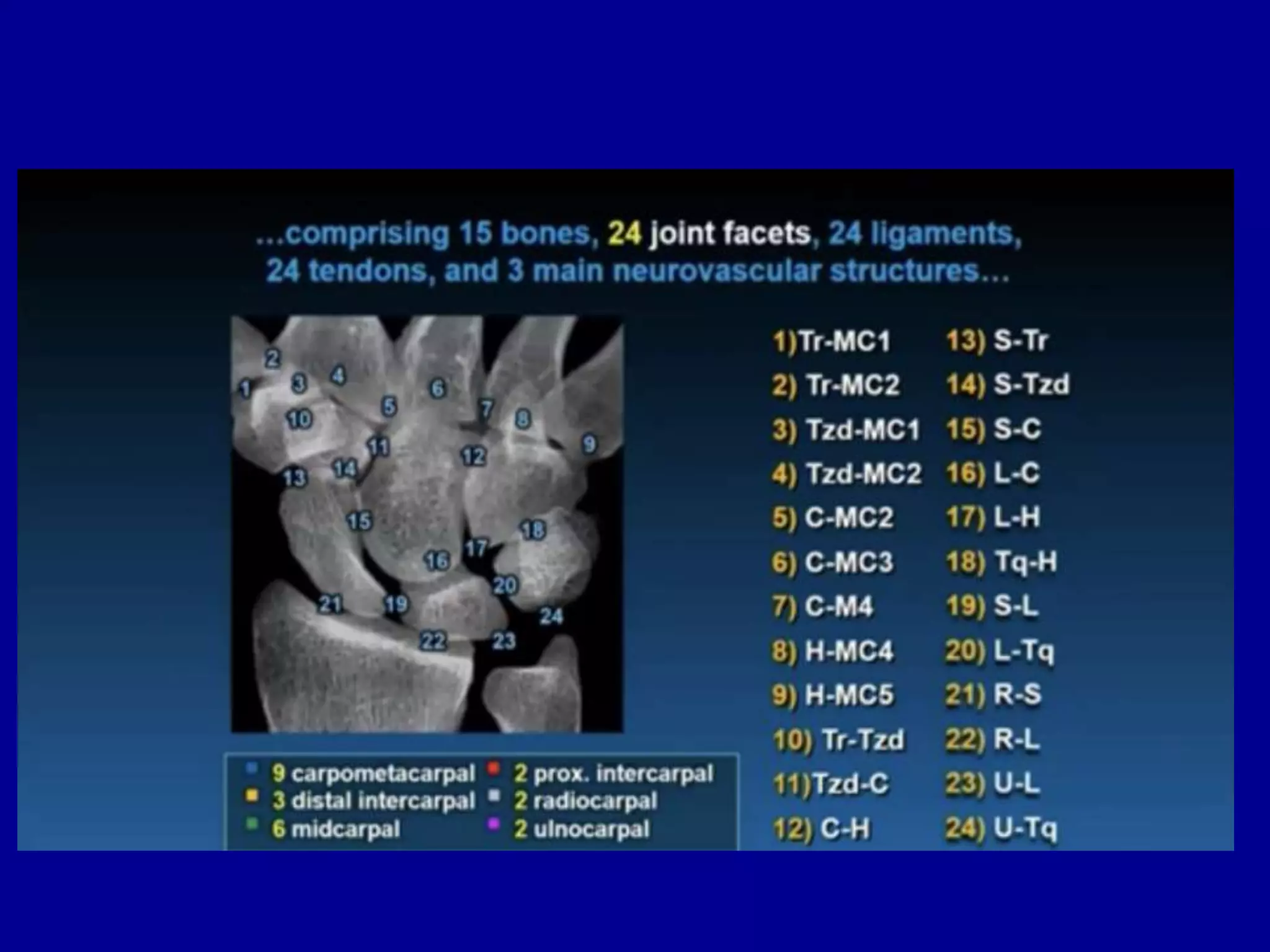 Chronic Wrist Pain And Examination | PPTX