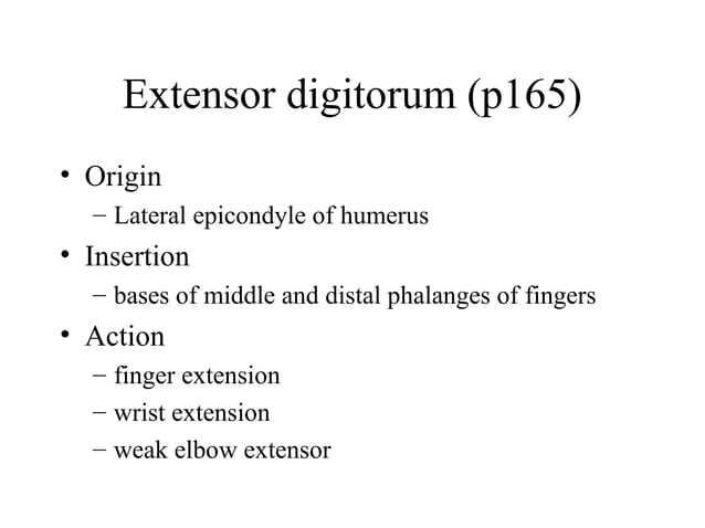 Wrist and finger anatomy 3rjhbh4jebjherhcfvbc.ppt