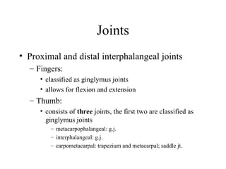 Wrist and finger anatomy 3rjhbh4jebjherhcfvbc.ppt