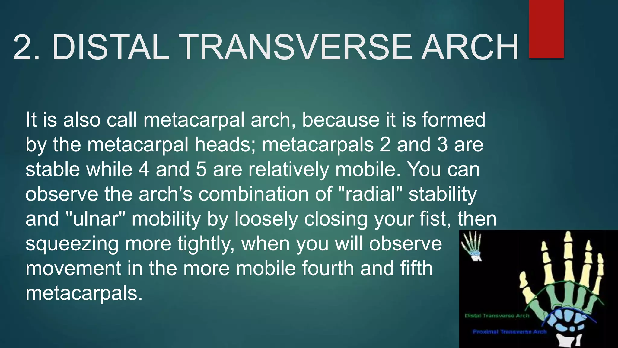 Biomechanics of wrist & Hand | PPTX
