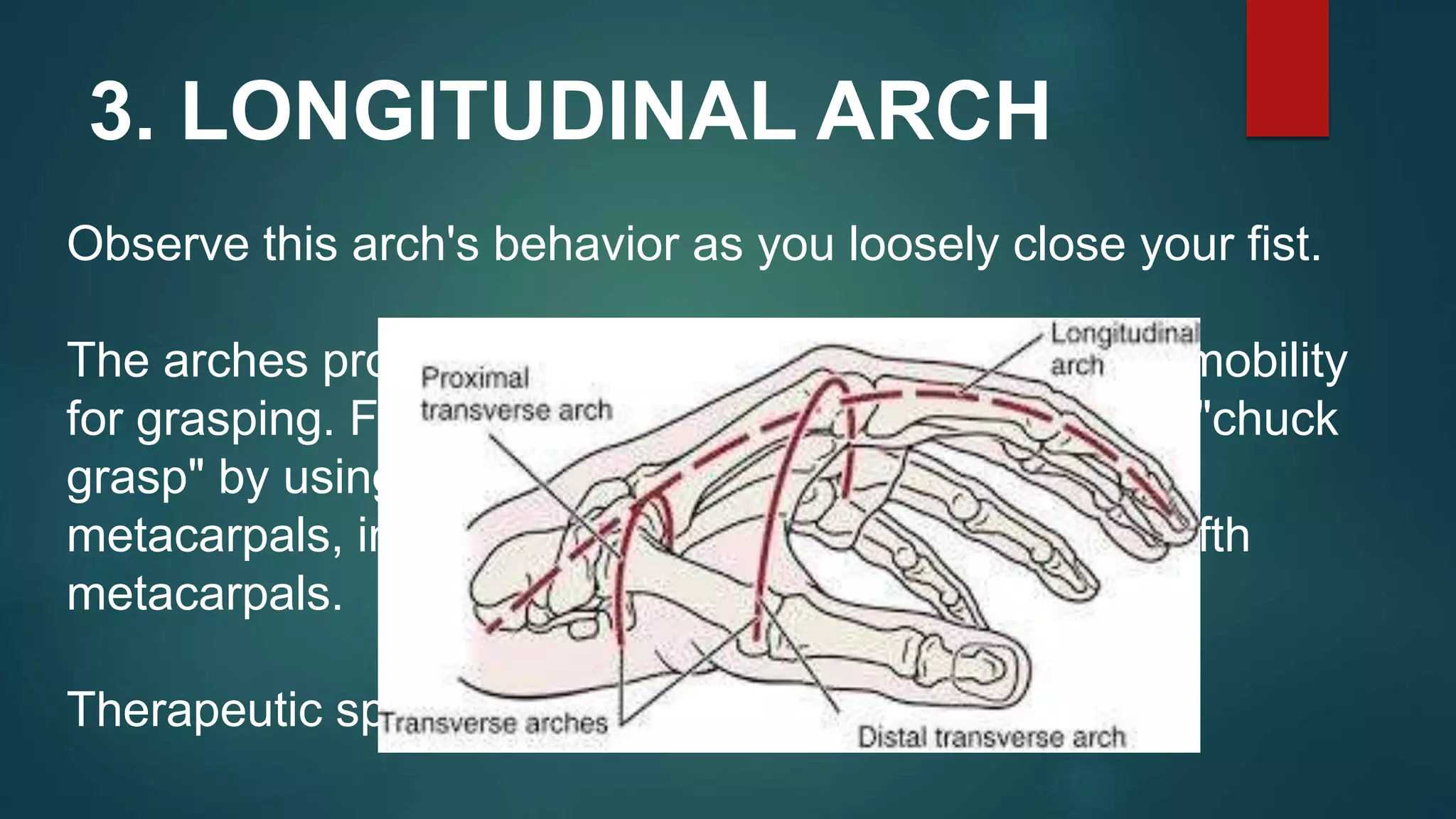 Biomechanics of wrist & Hand | PPTX