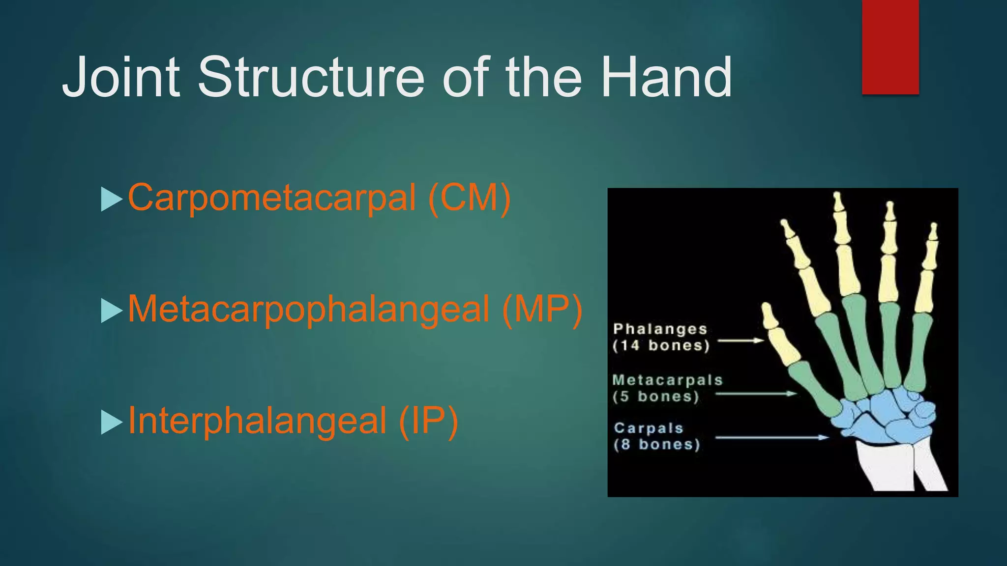 Biomechanics of wrist & Hand | PPTX