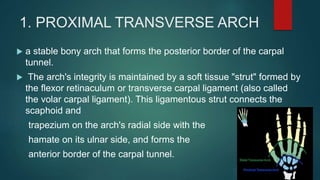 Biomechanics of wrist & Hand | PPTX