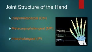Biomechanics of wrist & Hand | PPTX