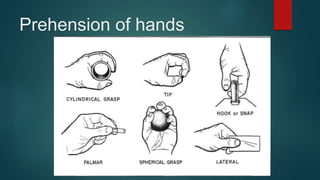 Biomechanics of wrist & Hand | PPTX