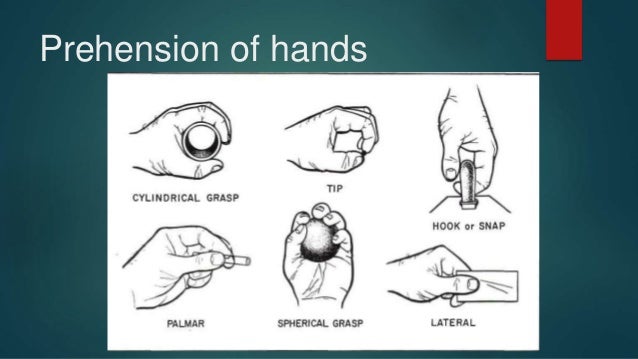 Biomechanics of wrist & Hand