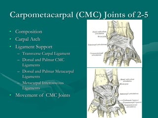 WristandHandAnatomy (1).ppt