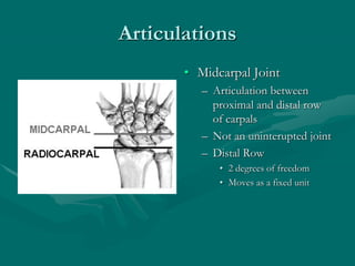 WristandHandAnatomy (1).ppt